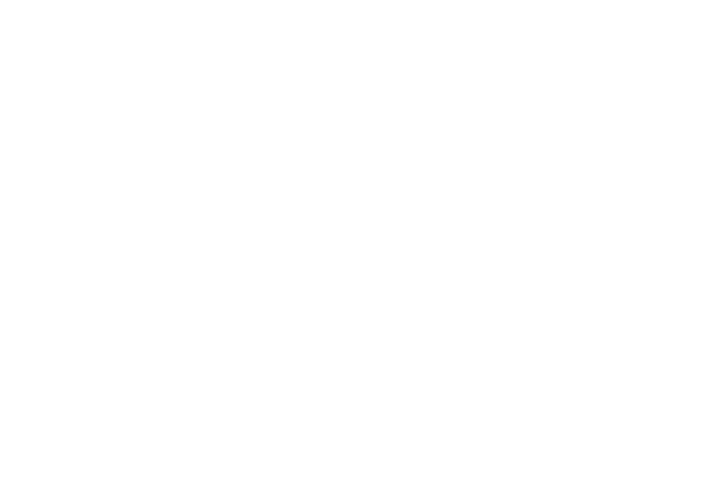 SAP Transportation Management Solutions Implementation Partner